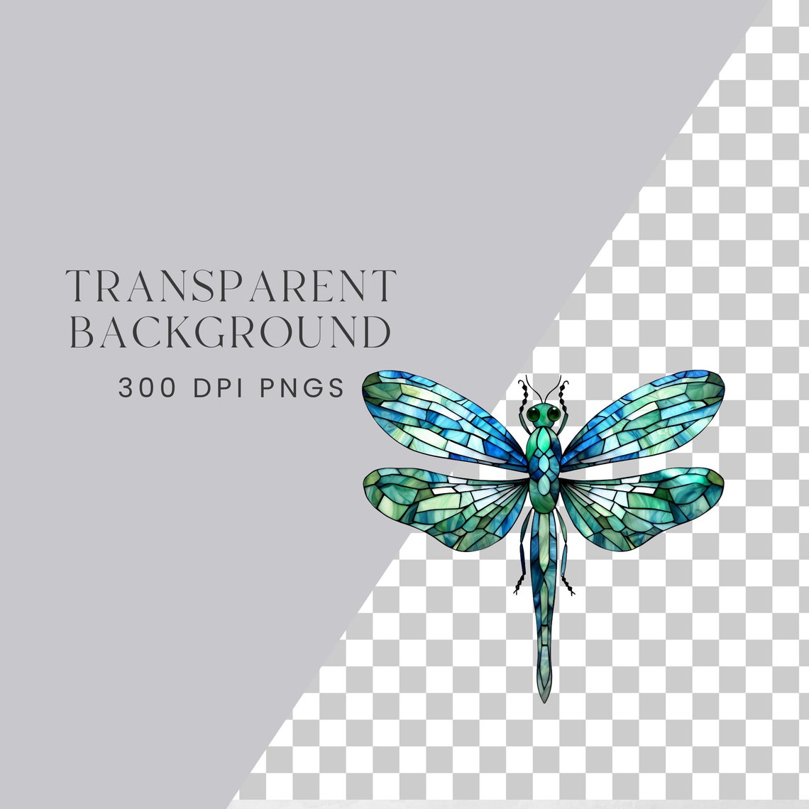 Dragonfly Clipart, Insect Illustrations, Insect Clip Art, PNG Graphics ...
