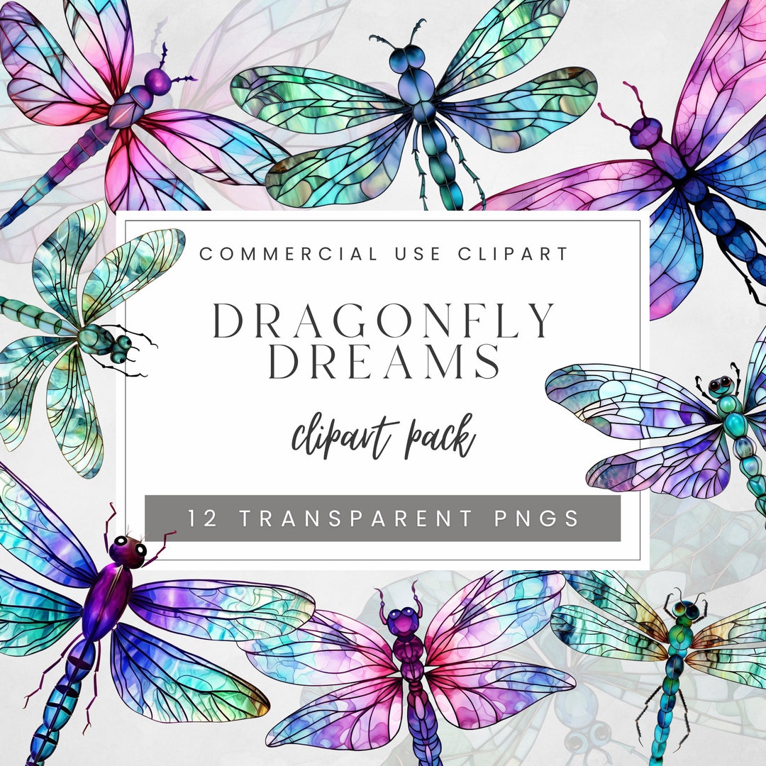 Dragonfly Clipart, Insect Illustrations, Insect Clip Art, PNG Graphics ...
