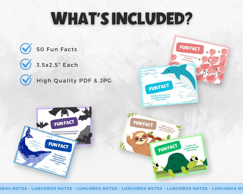 Animal Fun Facts Lunchbox Notes for Kids, Printable Lunchbox Cards ...