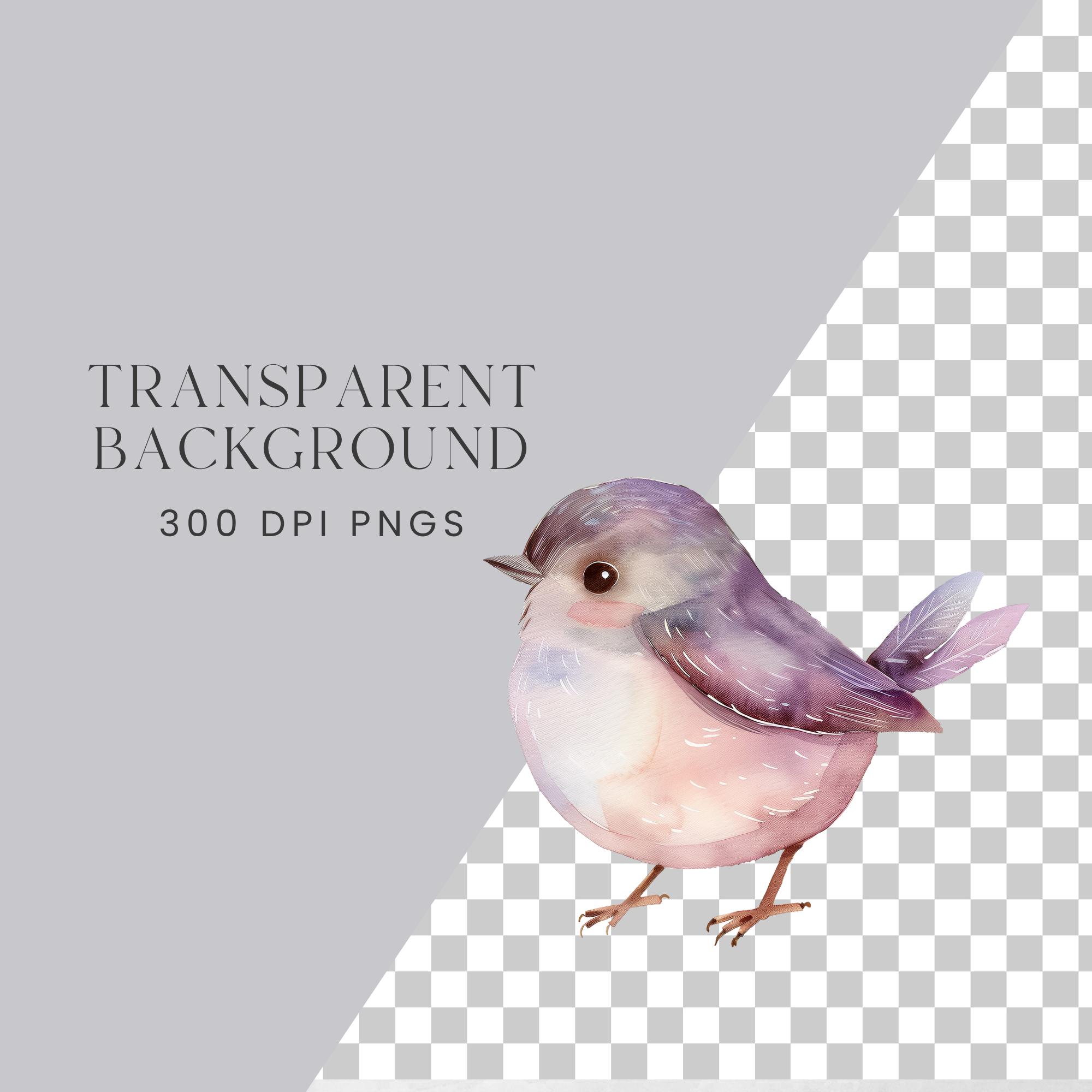 Watercolor Birds and Potted Plants Clipart Pack, Floral and Garden ...