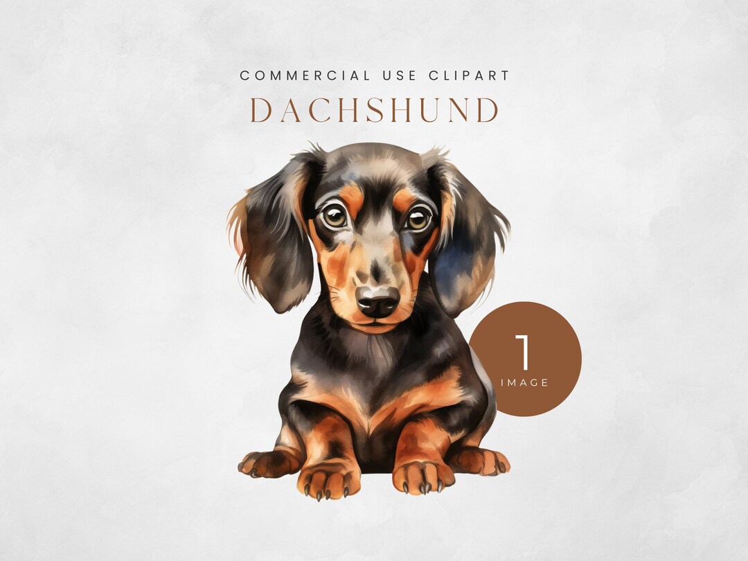 Dachshund Dog Clipart, Weiner Dog Digital Download, Dog Lover Graphics ...