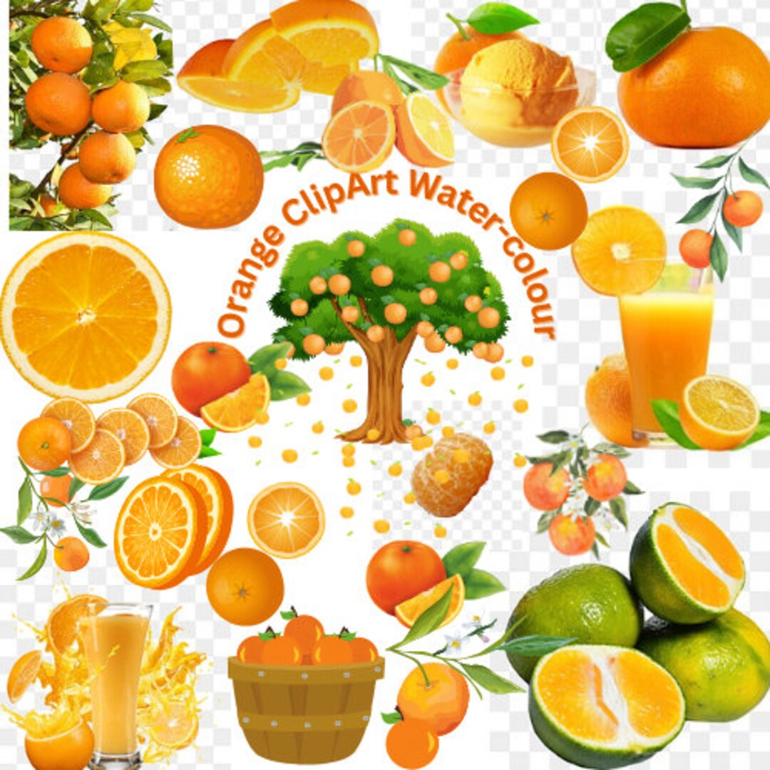 Watercolor Oranges Clipart | 40 Separate Orange Fruit, Juice, Slice ...