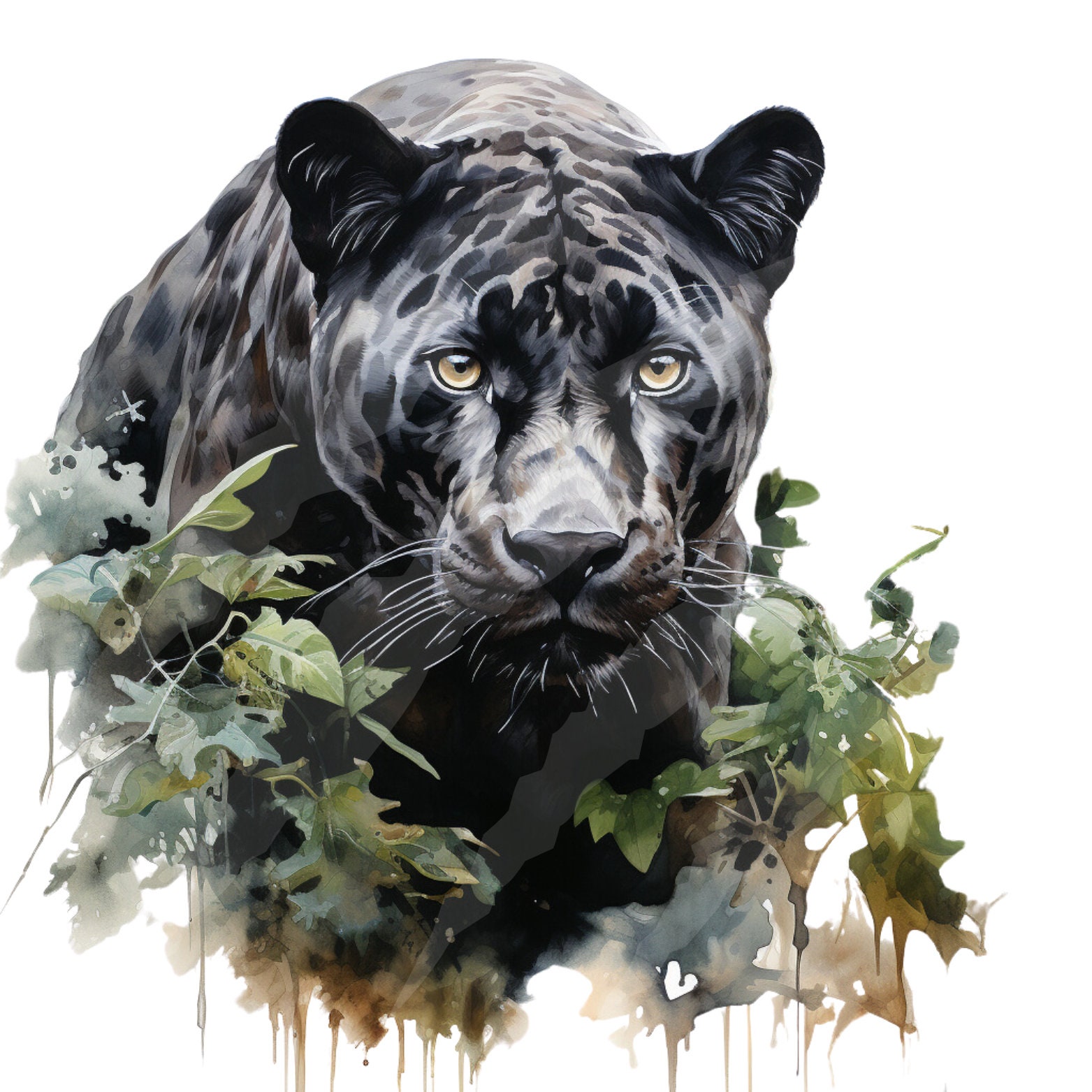 Aquarel Clipart Big Cats Wild Cats Tiger Lion Serval - Etsy