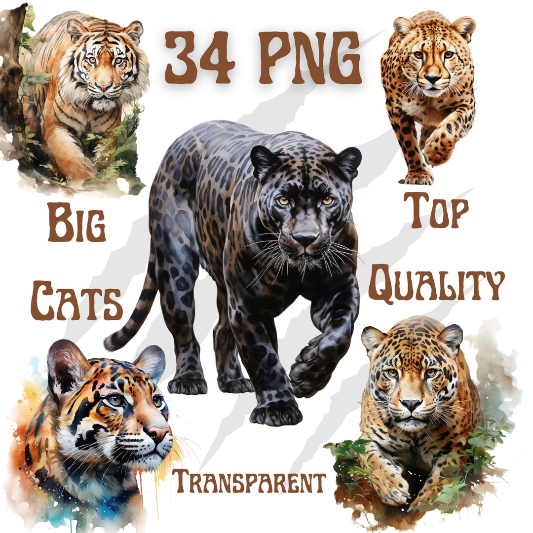 Aquarel BIG CATS, Wild Cats, Tiger, Lion, Serval, Leopard,ocelot ...