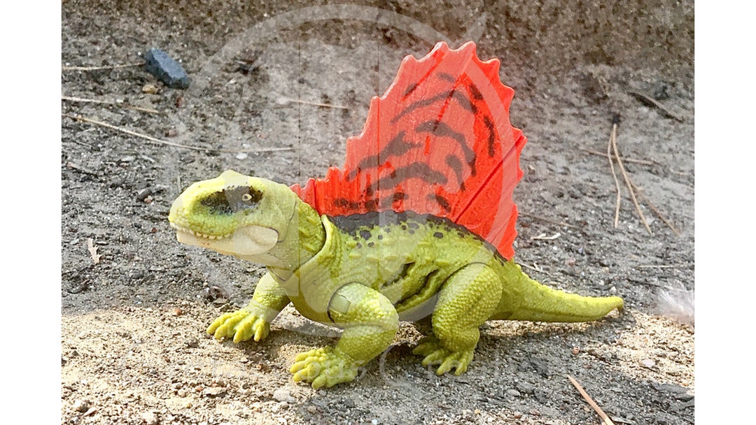 Basking Dimetrodon Toy Photography Glossy 4x6" Print - Etsy