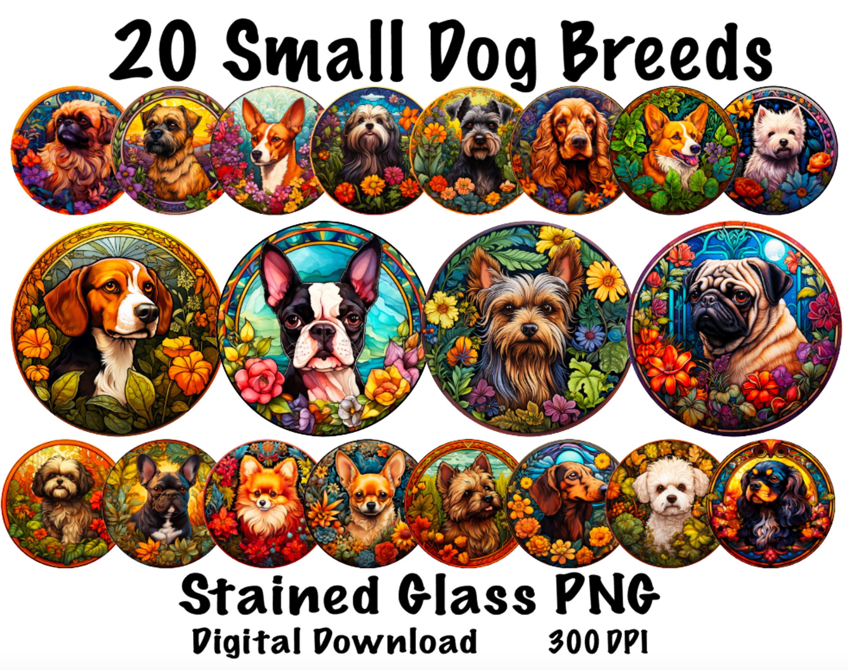 20 Small Dog Breeds Stained Glass PNG Digital Download, Dogs With ...