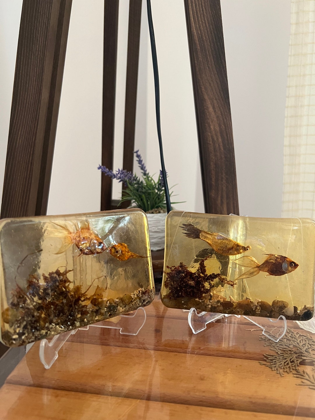 Handmade Design Sea Creatures Decor - Etsy