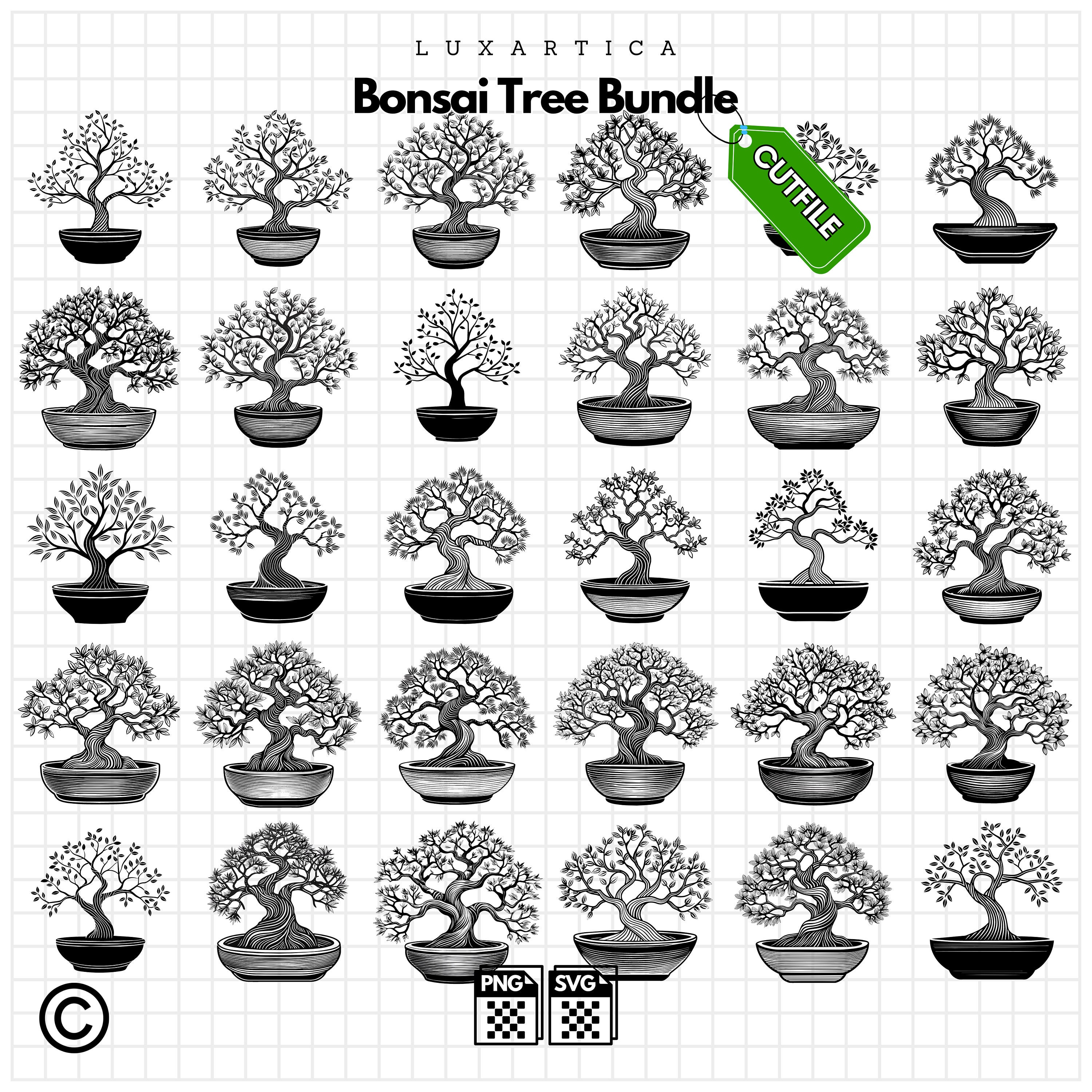 30 Bonsai Tree SVG Bundle, Tree Cut Files for Cricut, Minimalistic Tree ...