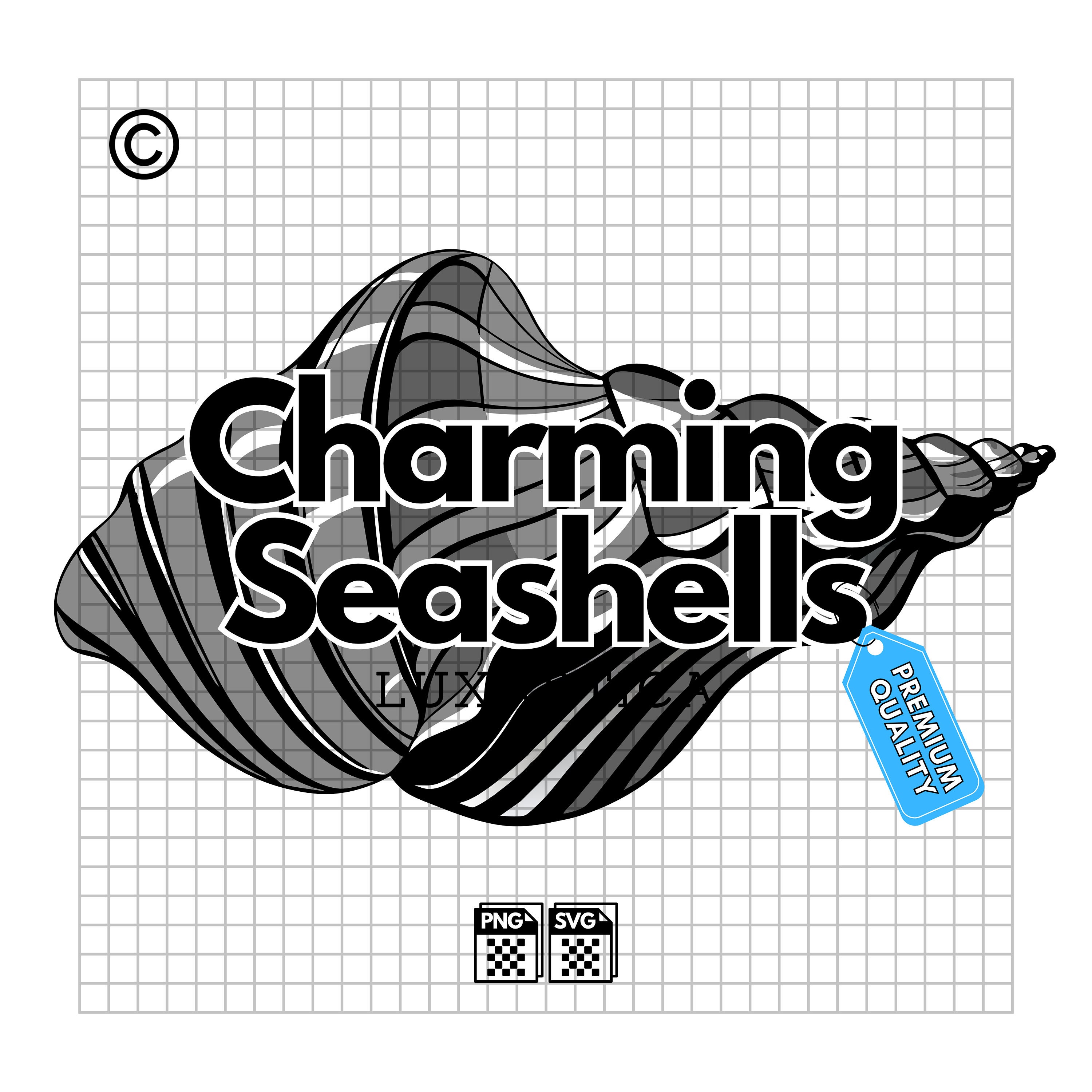 Seashells Clipart Collection Vector SVG PNG Marine Life Digital Designs ...