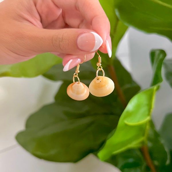 Shop Seashell Earrings Online - Etsy