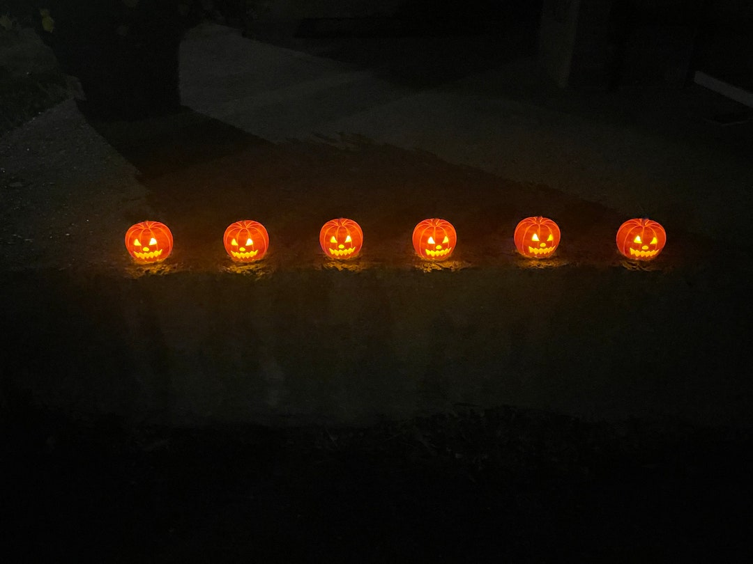 Light up Miniature Pumpkin - Etsy
