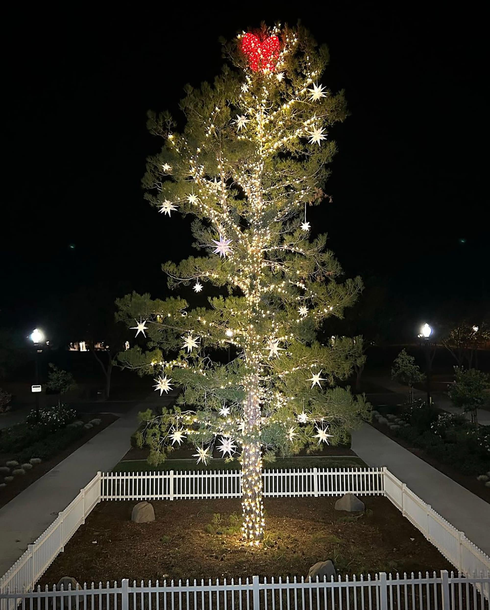 24″ Moravian Star With LED Light (christmas Tree Topper or Hang ...