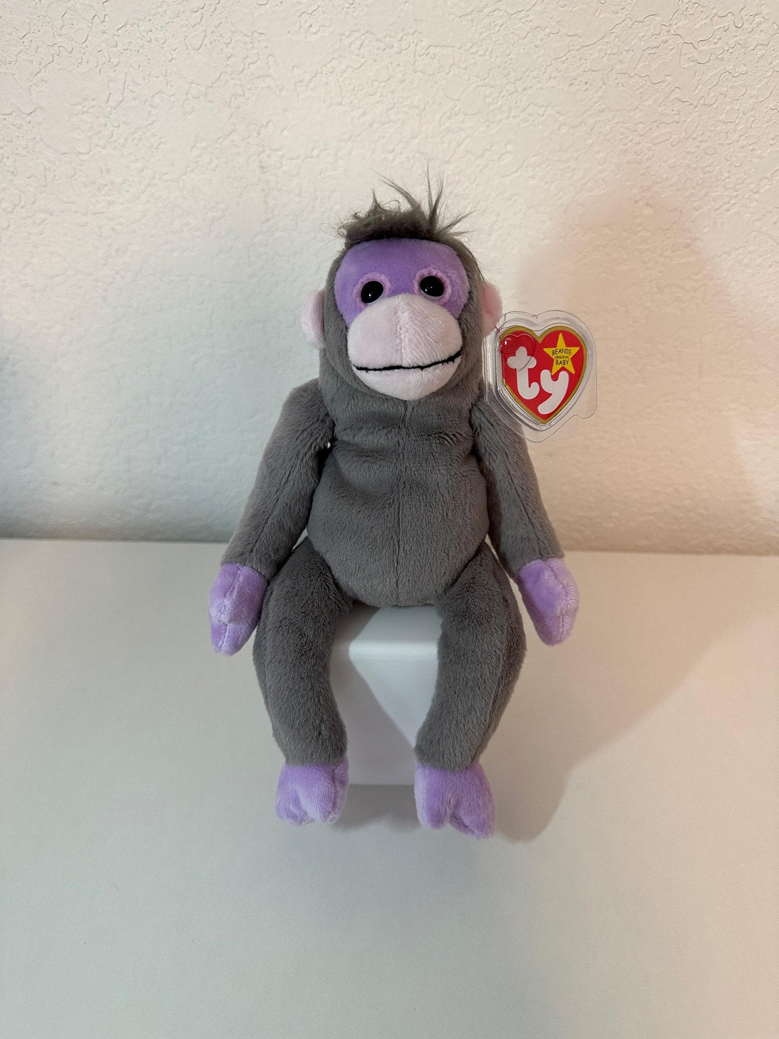30th Anniversary TY Beanie Babies Series 6 - Etsy