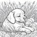 Multiple Cute Puppy's Coloring Pages for Kids - Etsy