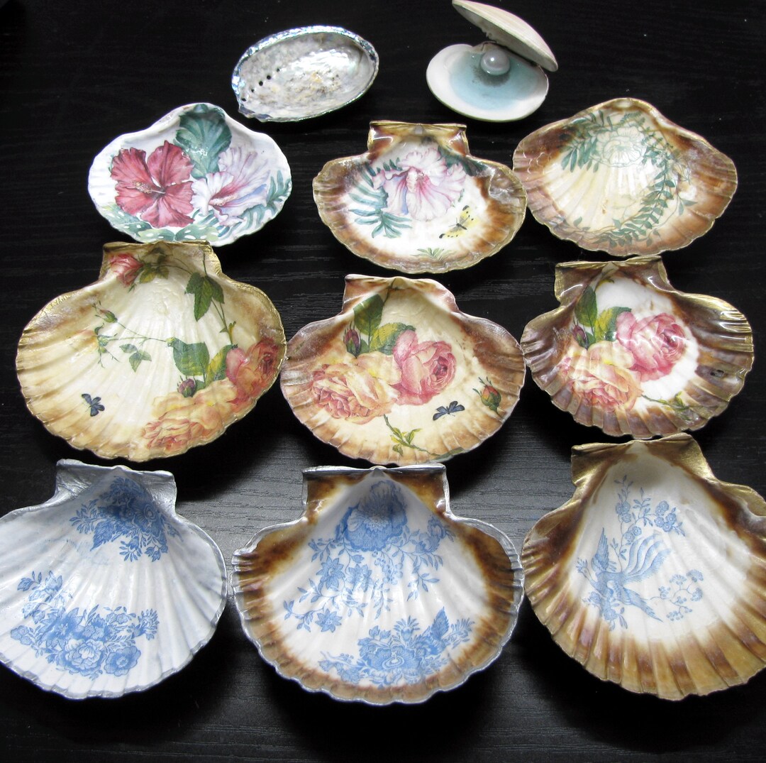 Scallop Shell Trinket Dishes - Etsy