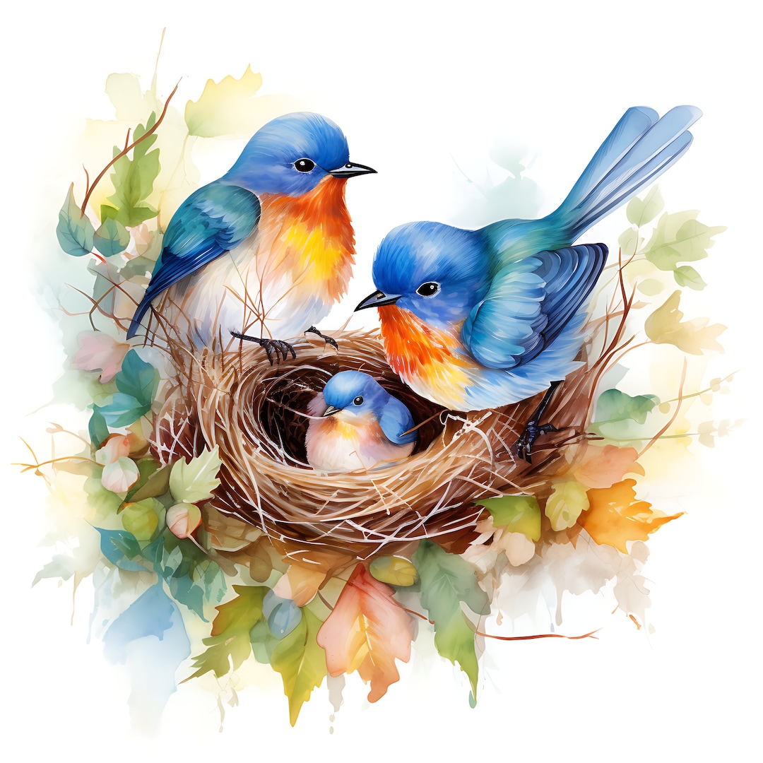 10watercolor Birds Nest Clipart Set, Hand-painted Whimsical Nature Art ...