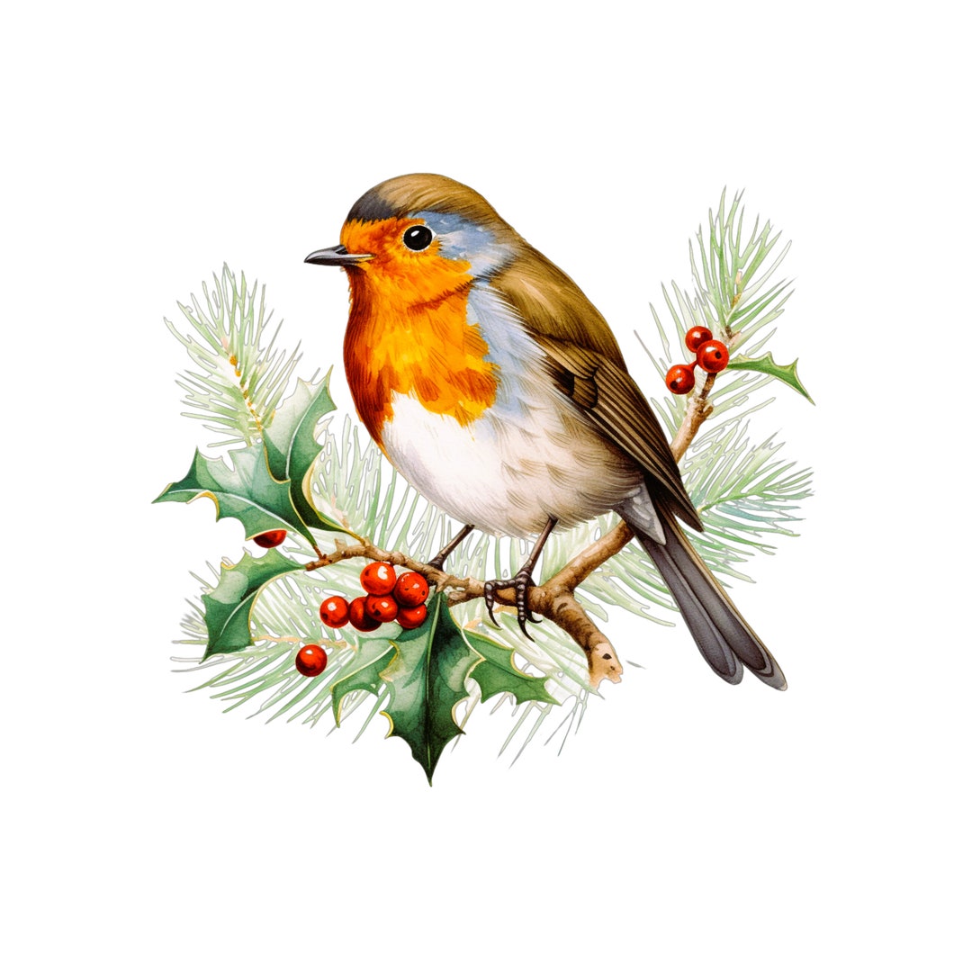 Christmas Robin Watercolor Clipart Set - 4 Printable High-res PNG Images for Paper Crafts & Junk ...