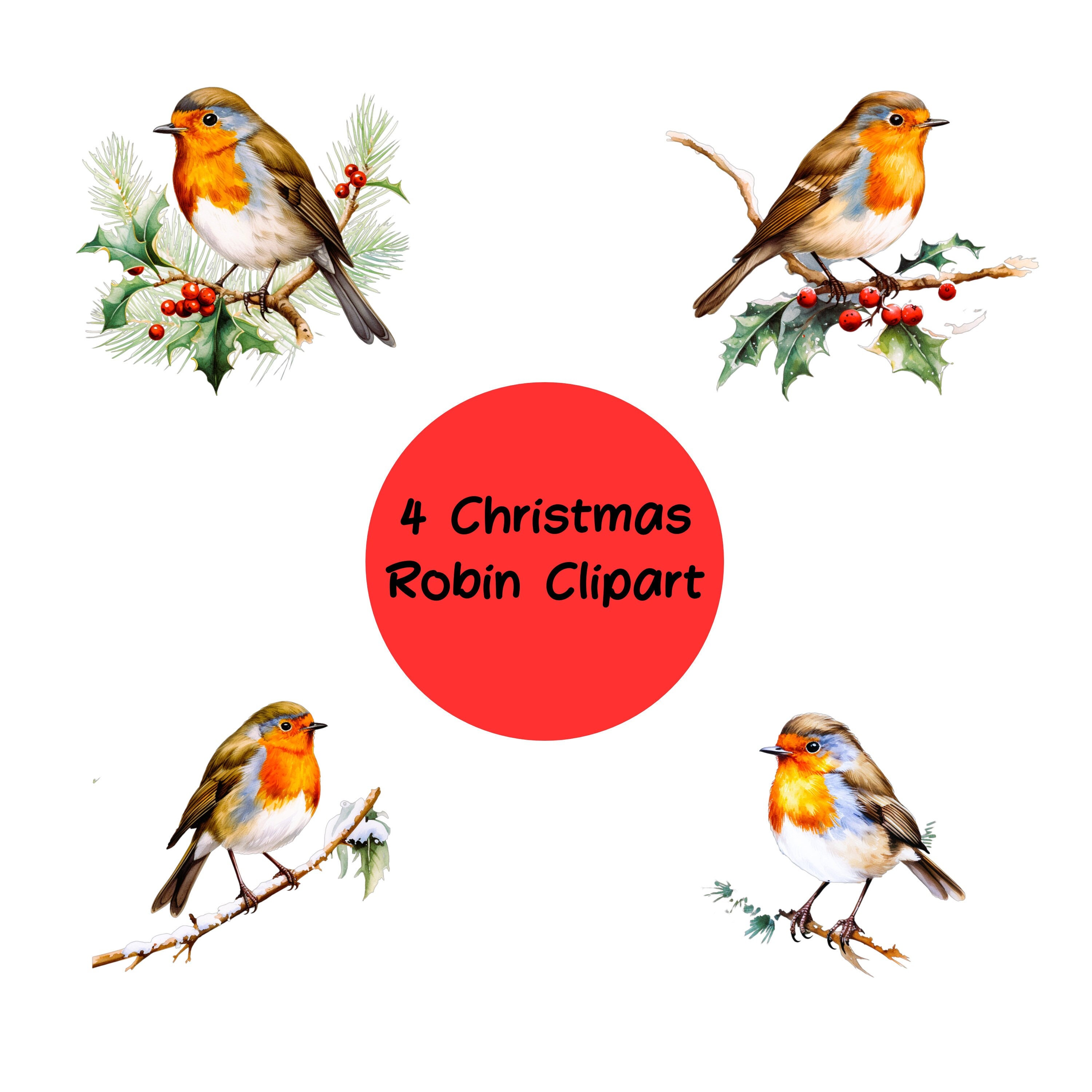 Christmas Robin Watercolor Clipart Set 4 Printable High-res PNG Images ...