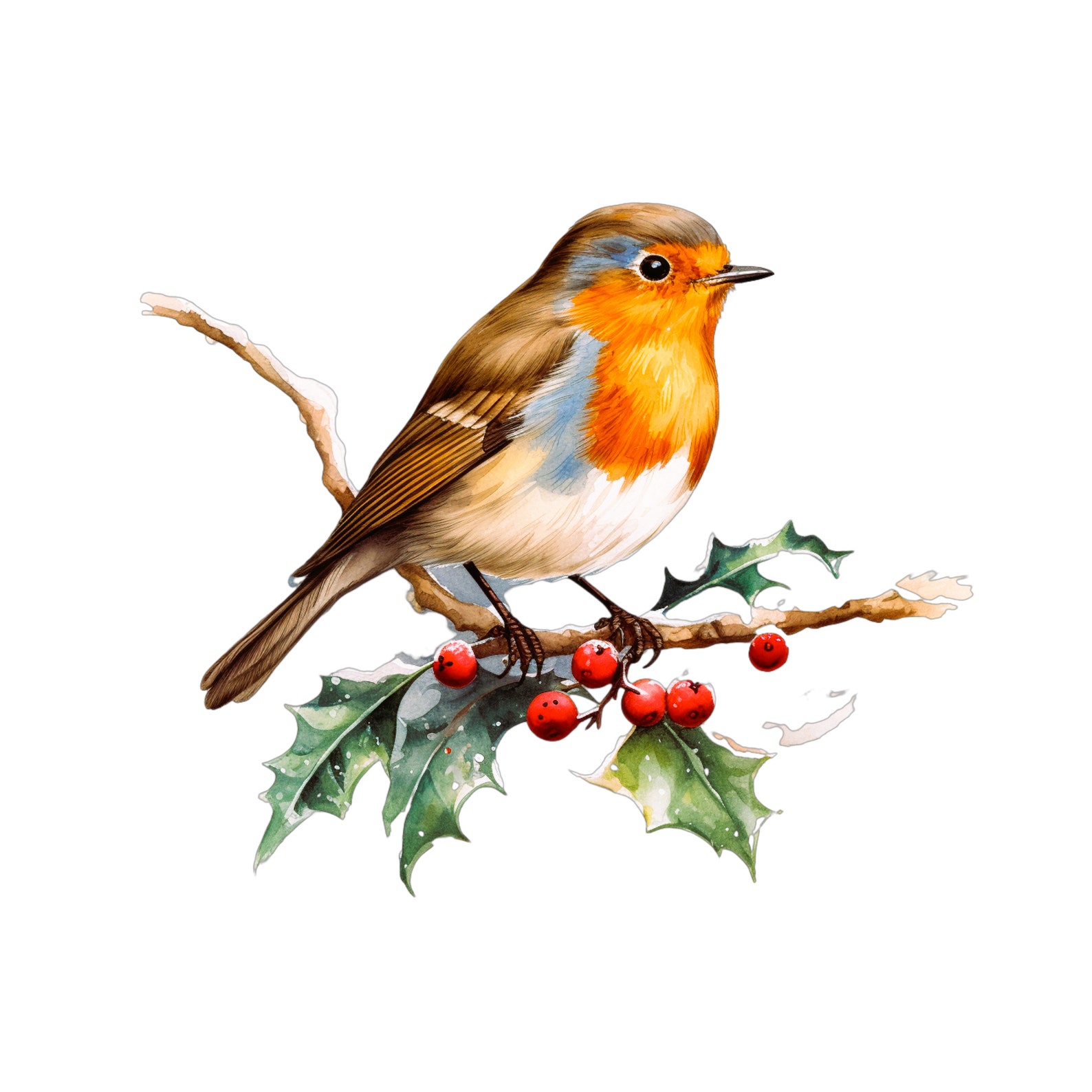 Christmas Robin Watercolor Clipart Set 4 Printable High-res PNG Images ...