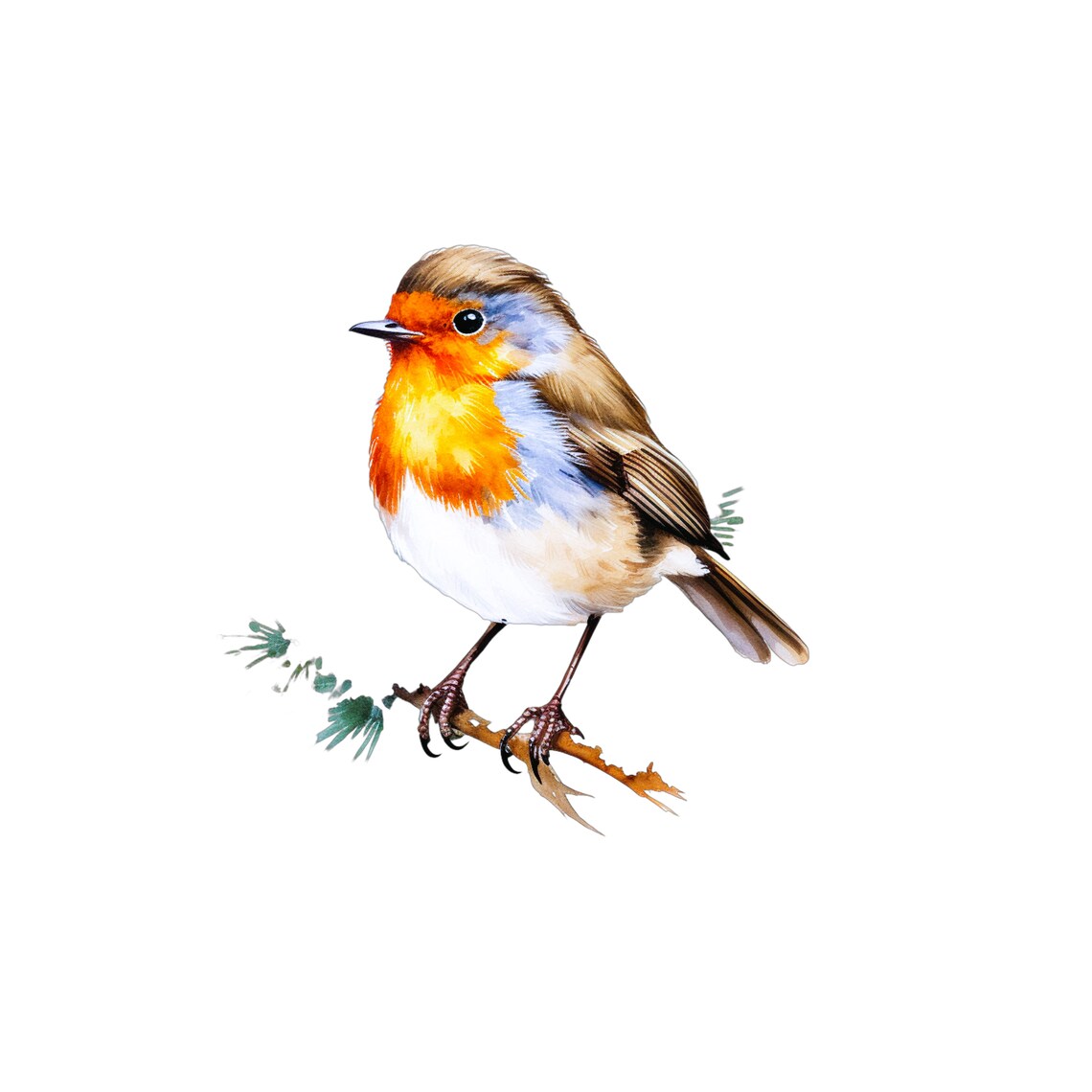 Christmas Robin Watercolor Clipart Set 4 Printable High-res PNG Images ...