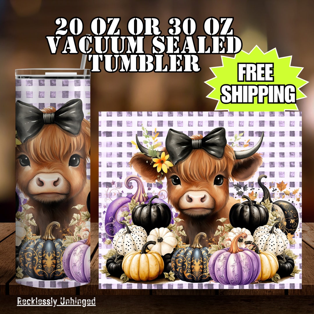 Mini Highland Cows Are the Cutest With Pumpkins A True - Etsy
