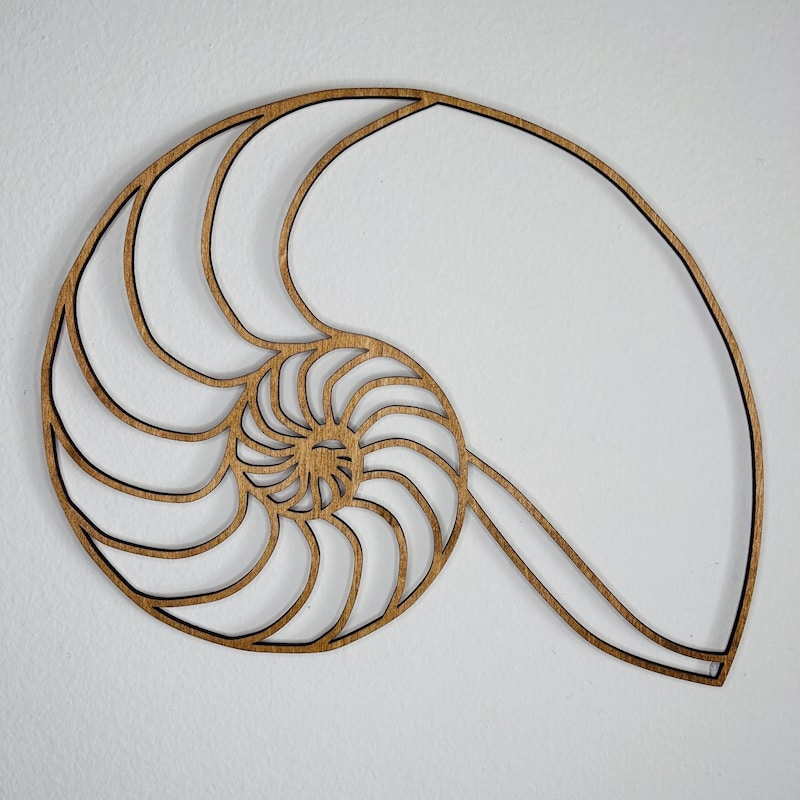 Nautilus Shell Art - Etsy