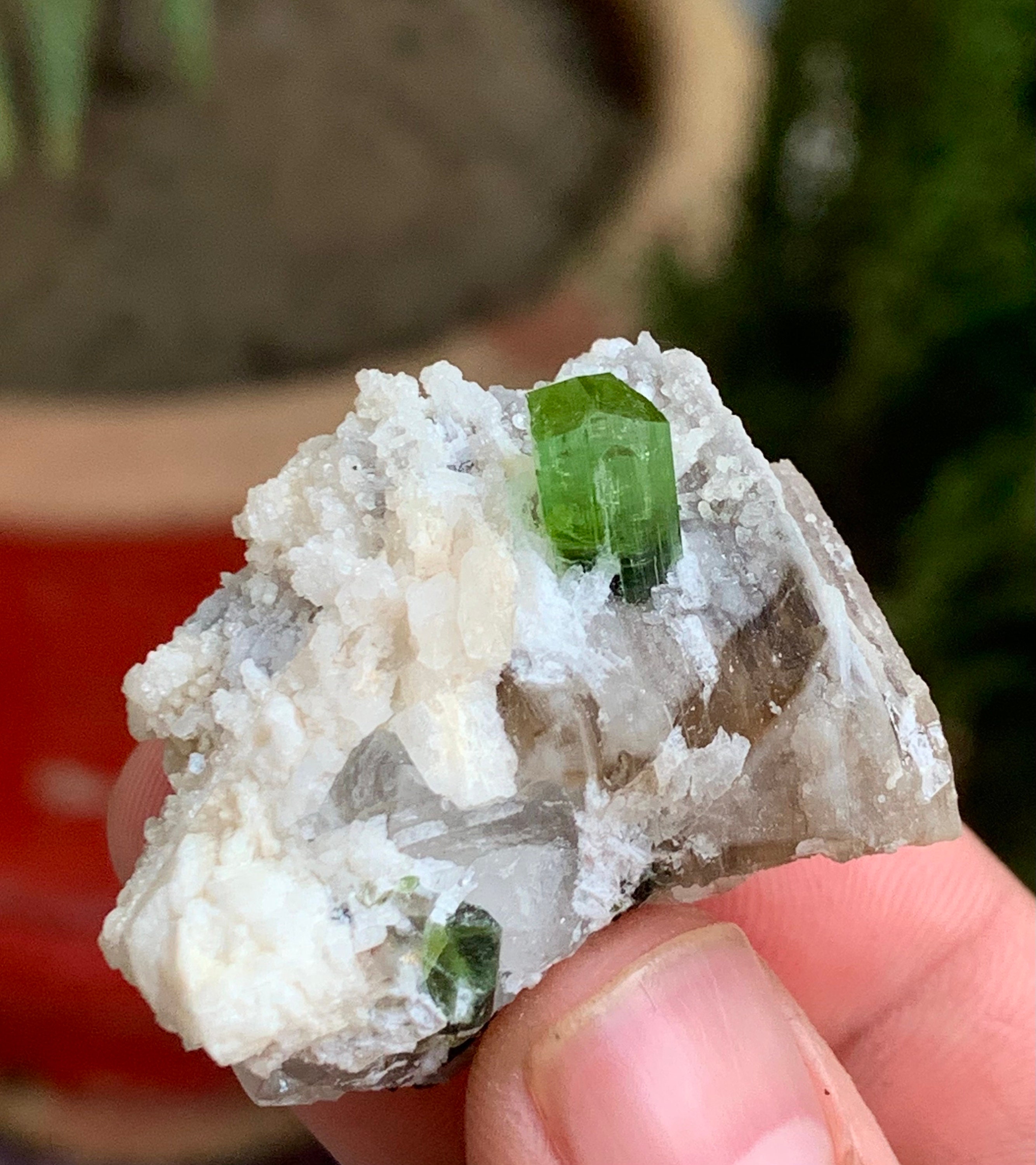41 grammes Spécimen de tourmaline verte de qualité exceptionnelle avec ...