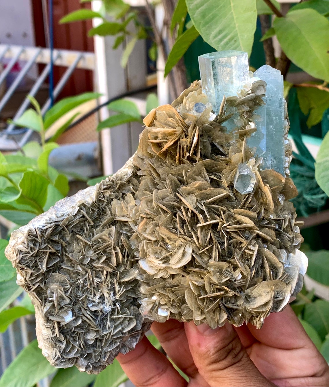 780 Gram Sky Blue Lovely Aquamarine With Nice Muscovite on Mitrix From ...