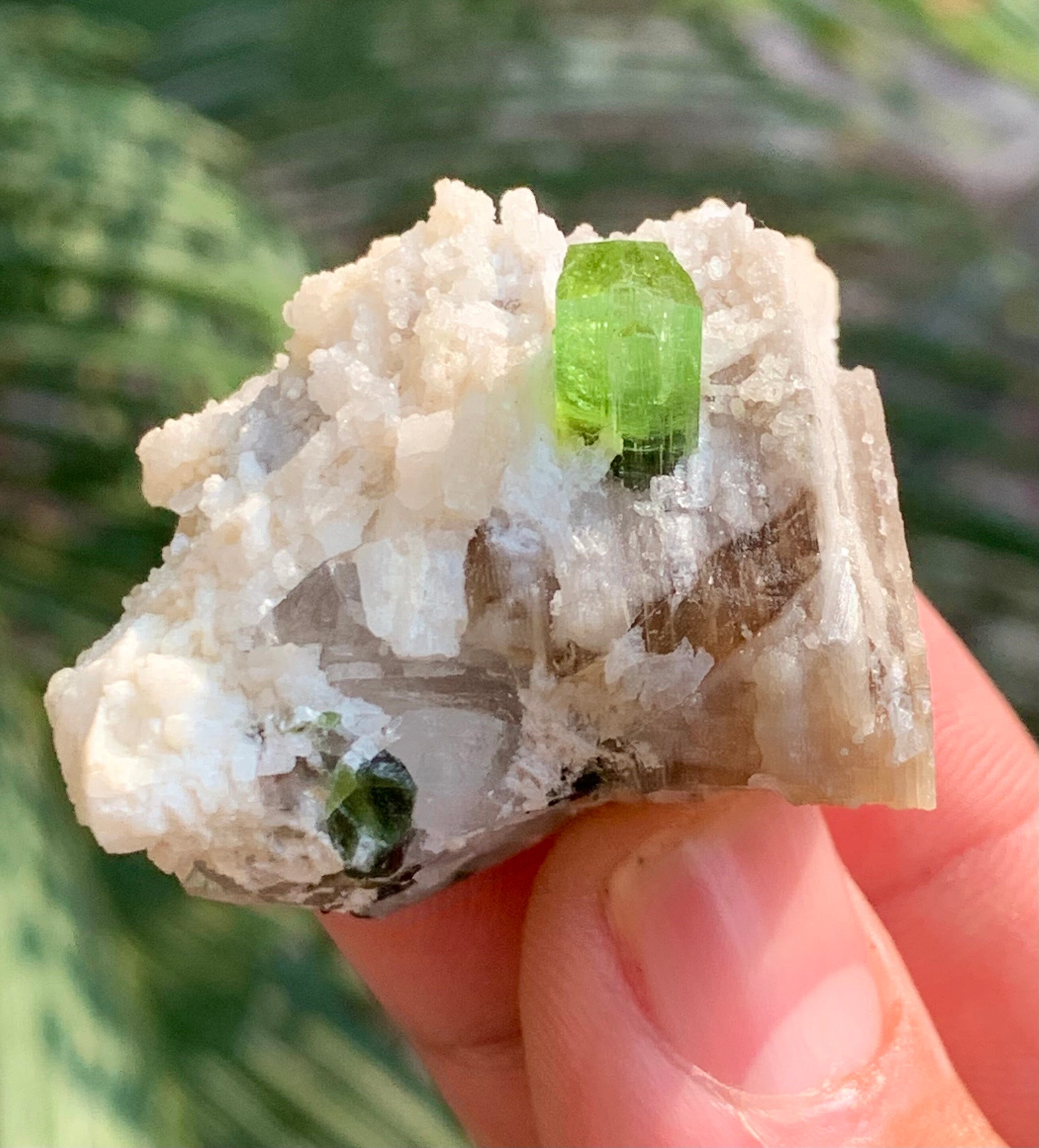 41 grammes Spécimen de tourmaline verte de qualité exceptionnelle avec ...