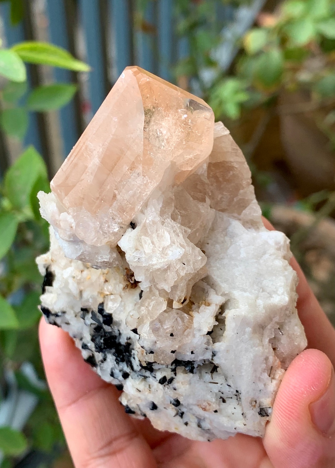 151 Gram Stunning Quality Aesthetic Natural Topaz Specimen With Nice ...