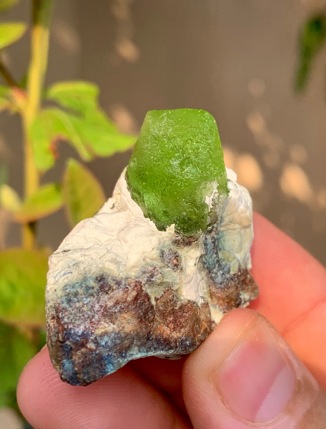 30 Gram Stunning Quality Aesthetic Peridot Specimen on Mitrix With Nice ...