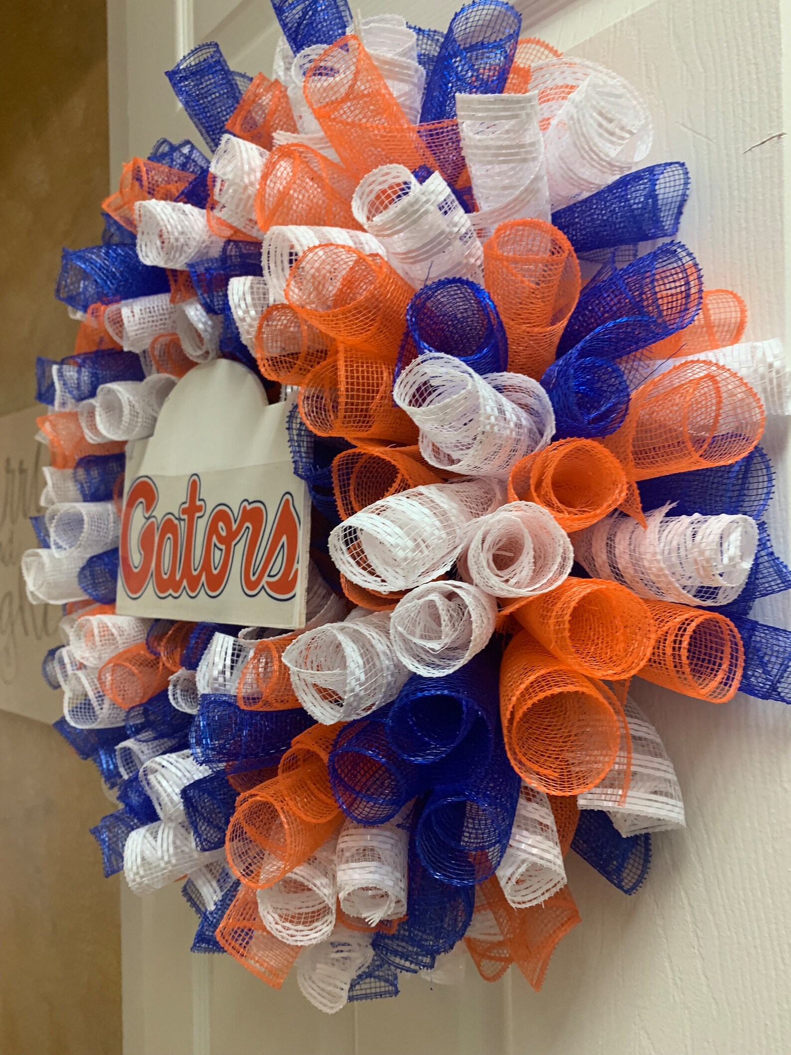 Florida Gators Deco Mesh Wreath - Etsy