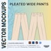 Wide Pleated Pants Mockup, Tech Pack Template (digital Download) - Etsy