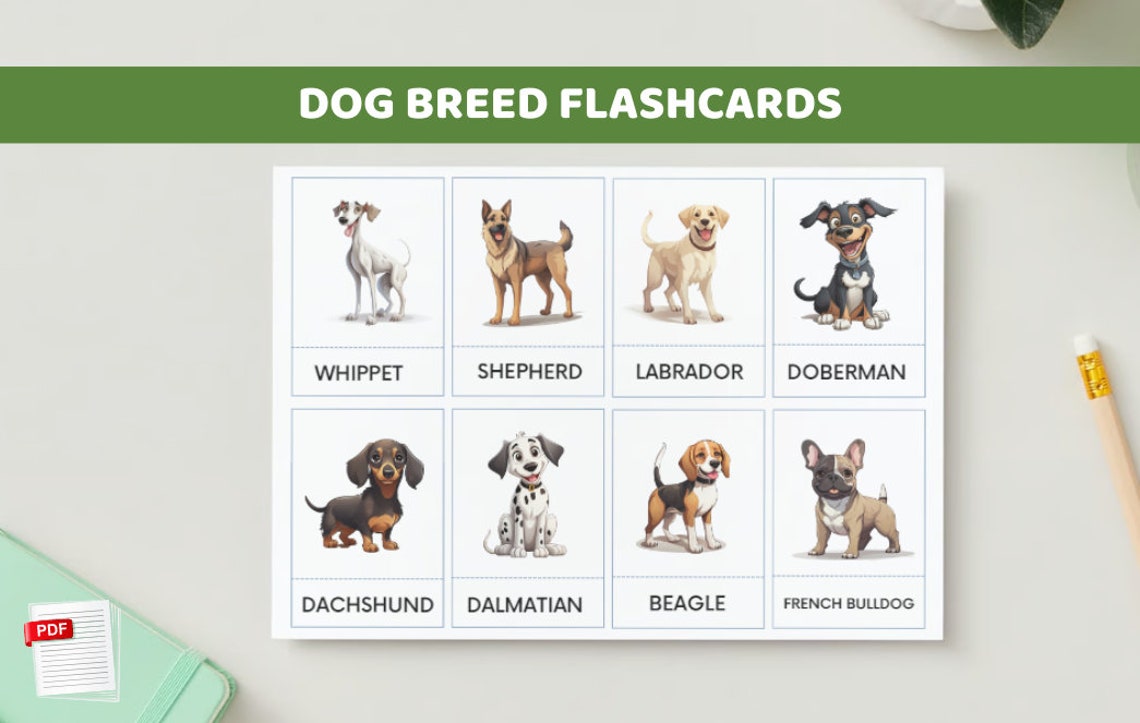 26 Different Dog Breed Flashcards Cartoon Style, Montessori Cards ...