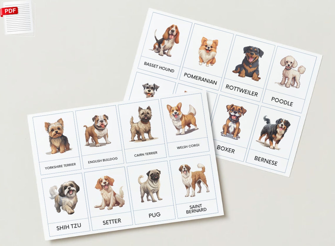 26 Different Dog Breed Flashcards Cartoon Style, Montessori Cards ...