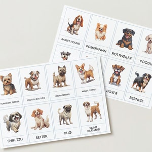 26 Different Dog Breed Flashcards Cartoon Style, Montessori Cards ...