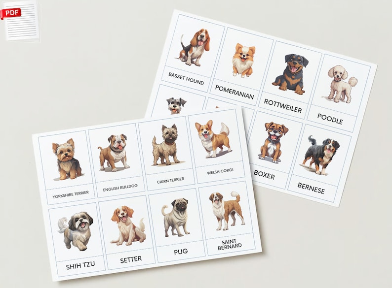 26 Different Dog Breed Flashcards Cartoon Style, Montessori Cards ...