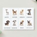 26 Different Dog Breed Flashcards Cartoon Style, Montessori Cards ...