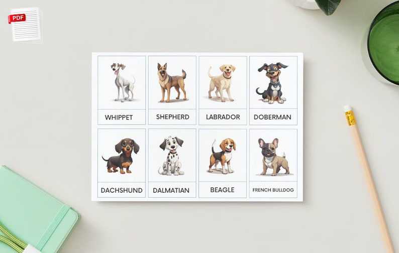 26 Different Dog Breed Flashcards Cartoon Style, Montessori Cards ...