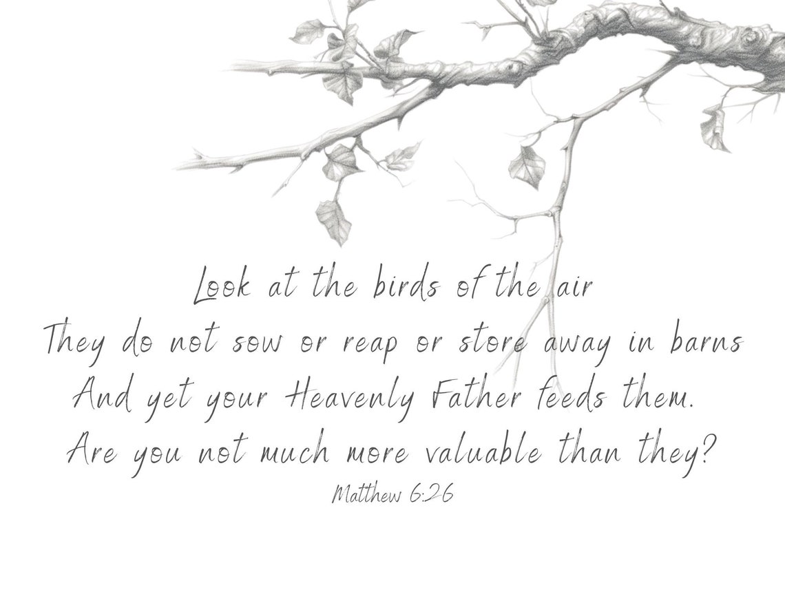 The Matthew 6:26 Gallery Wall Art Print Set, Christian Wall Art, Bird ...