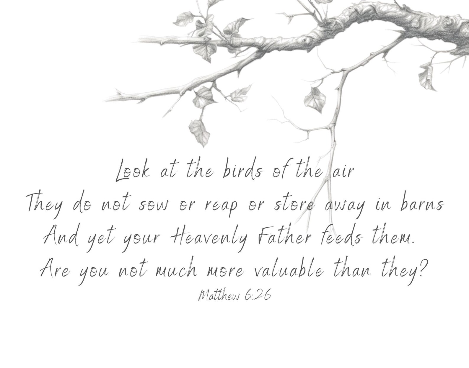 The Matthew 6:26 Gallery Wall Art Print Set Christian Wall - Etsy