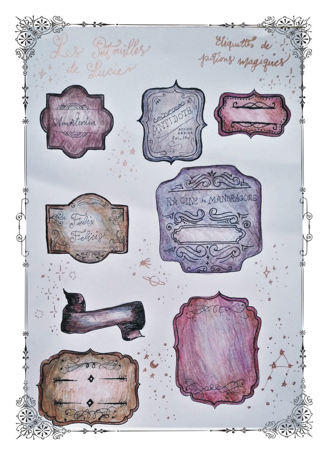 Illustrations Magic Potions Labels - Etsy