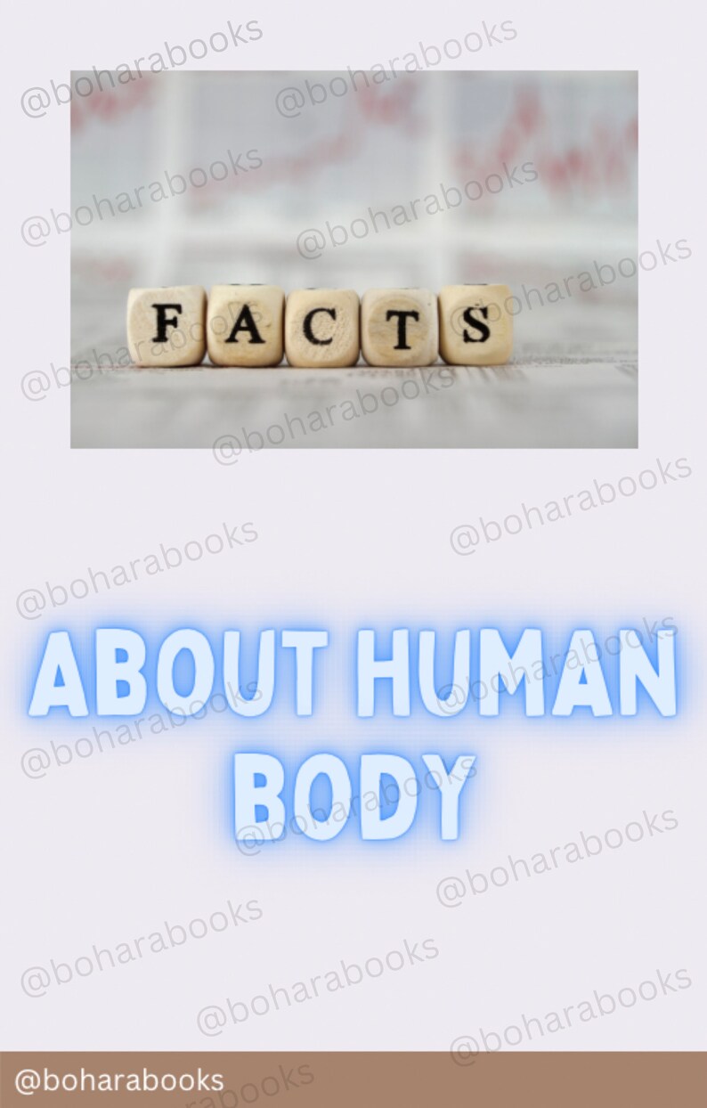 Facts About Human Body for Kids - Etsy