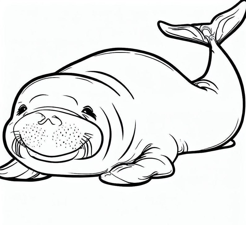 Ocean Wonders: A Whimsical Coloring Pages Journey for - Etsy