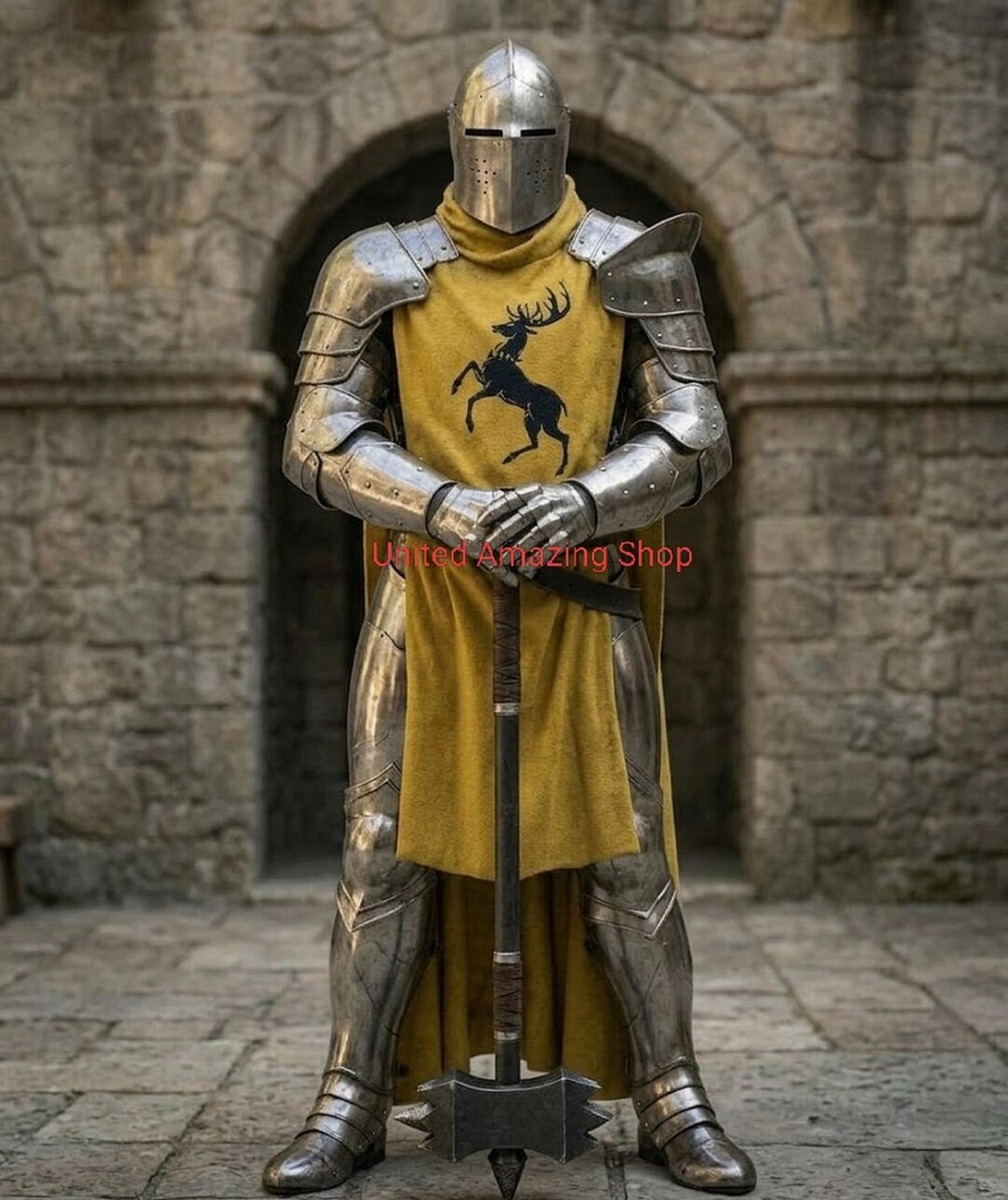 Baratheon Medieval Knight Larp Armor | Spoilers Fantasy Warrior Cosplay ...