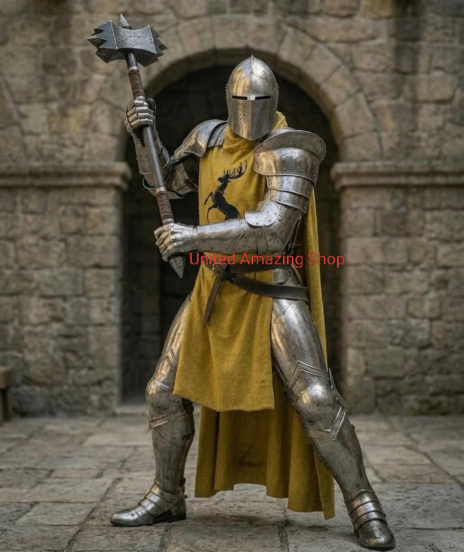 Baratheon Medieval Knight Larp Armor | Spoilers Fantasy Warrior Cosplay ...