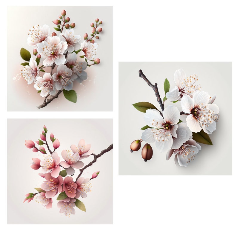 Cherry Blossoms, Watercolor Floral Clipart, Floral Clipart, Cherry ...