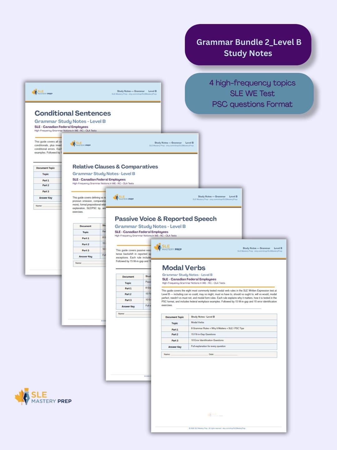 SLE Level B — Grammar Bundle 2 | 4 Study Notes | Written Expression ...