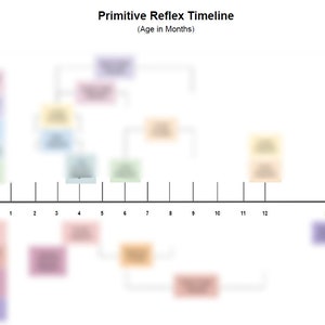 Primitive Reflex Chart. Pediatric Therapy and Health Chart. Reflex ...