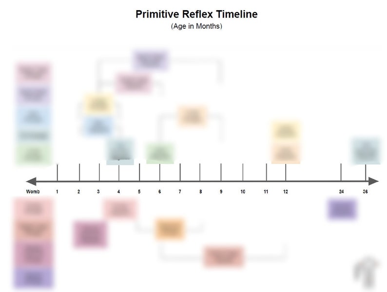 Primitive Reflex Chart. Pediatric Therapy and Health Chart. Reflex ...